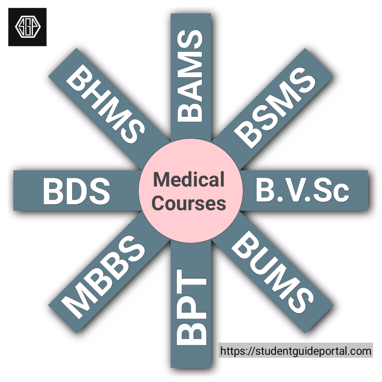 BSc के बाद क्या करें : BSc Ke Baad Medical Course | Student Guide Portal